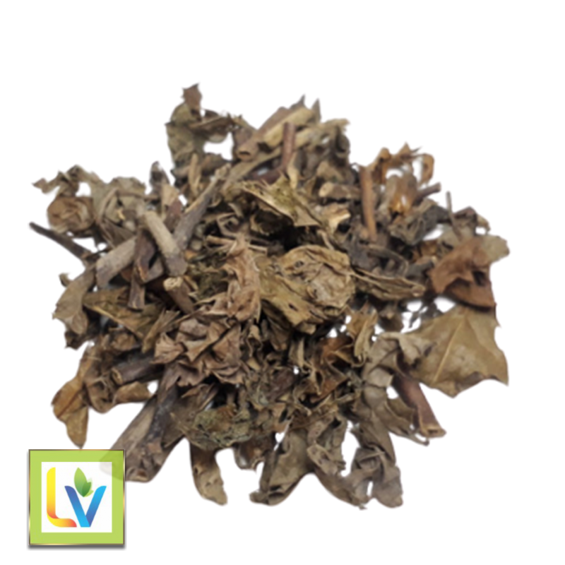 Ô Rô - THUỐC BẮC