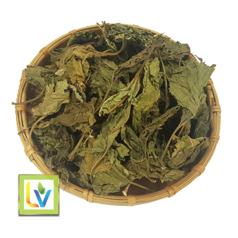 Lá Dâu - THUỐC BẮC