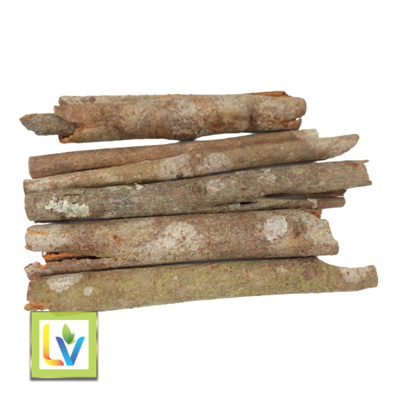 Quế Khâu - THUỐC BẮC