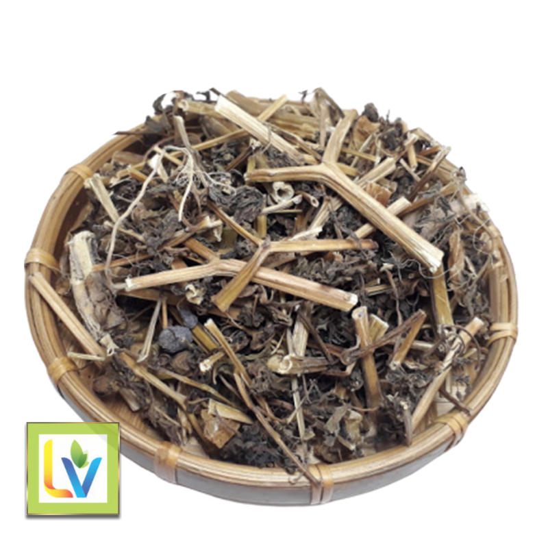 Thù Lù - THUỐC BẮC