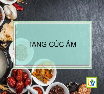 TANG CÚC ẨM - THUỐC BẮC SÀI THÀNH