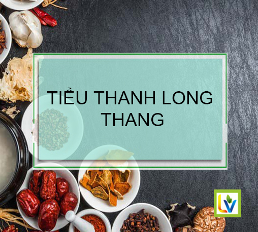 TIỂU THANH LONG THANG - THUỐC BẮC SÀI THÀNH